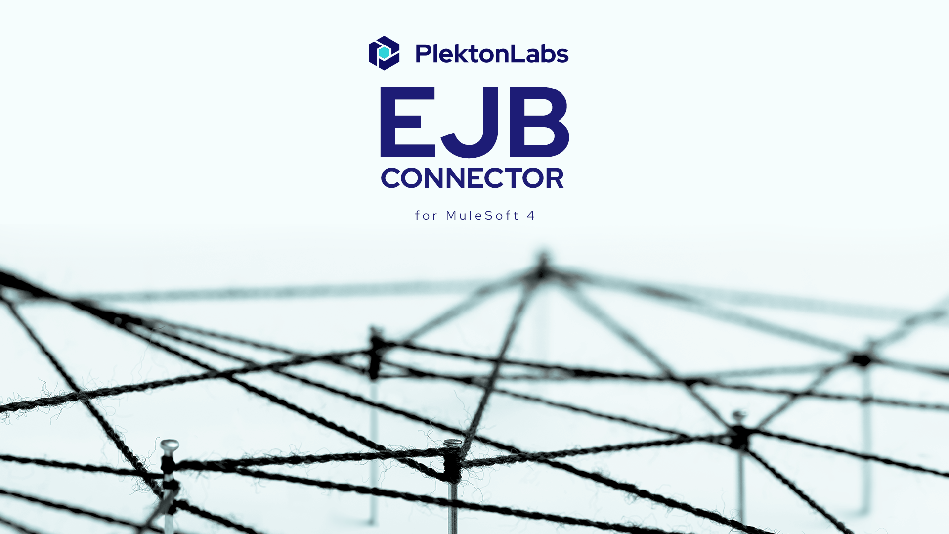 PlektonLabs Announces New EJB Connector - PlektonLabs